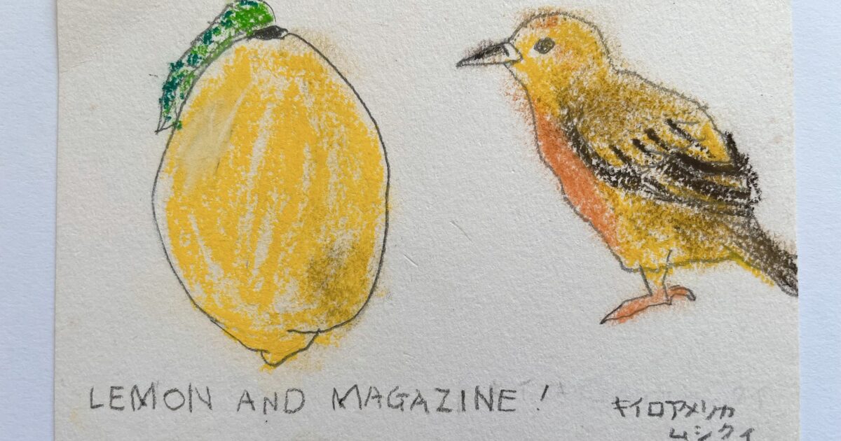 WE ARE LEMON AND MAGAZINE | LEMON AND MAGAZINE